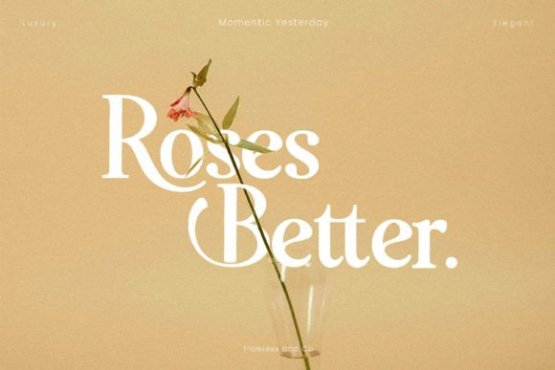 24 of the Best Wedding Fonts (and get 10 for free!)